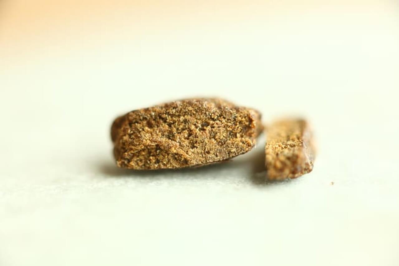 Haxixe: saiba o que é e conheça seus efeitos, extração e tipos!